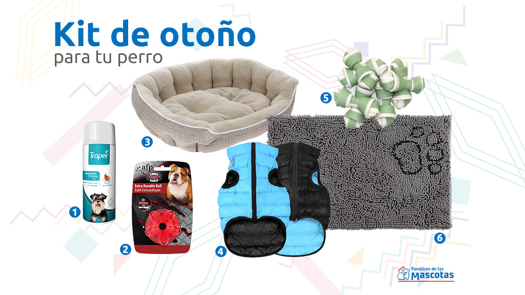 6 accesorios para perros ideales en otoño | Fanáticos de las mascotas