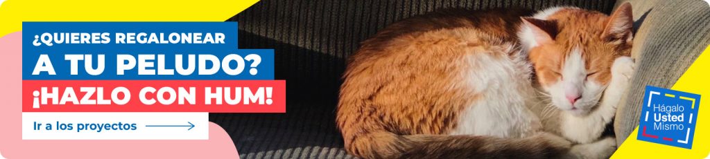 Todo sobre el Churu para gatos | Fanáticos de las mascotas