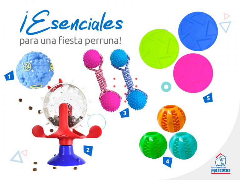 ¿Quieres perros felices? Aprende por qué deben tener compañía ...