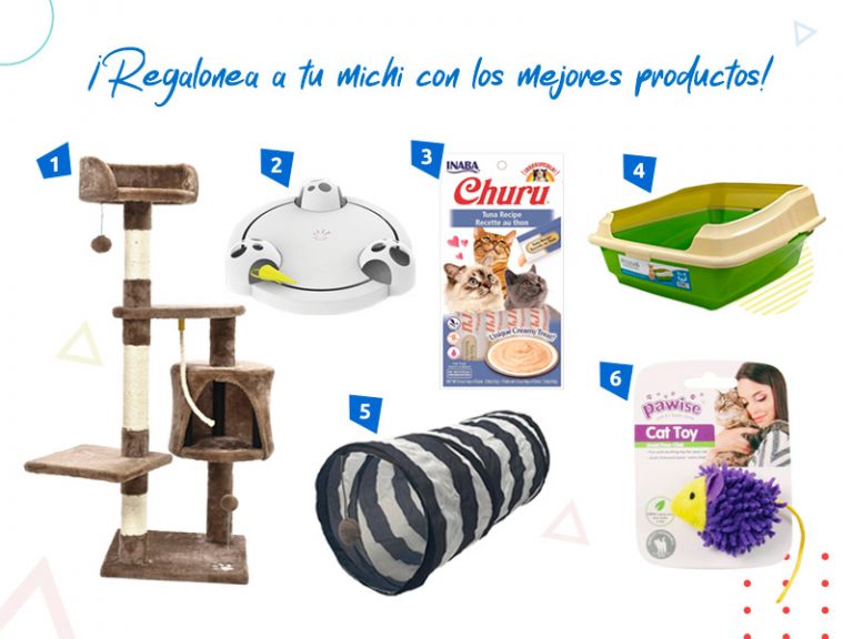 3 cosas que puedes hacer para celebrar a tu michi en su día | Fanáticos ...